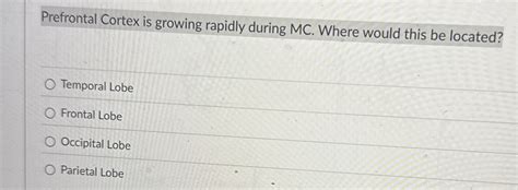 Solved Prefrontal Cortex Is Growing Rapidly During Mc