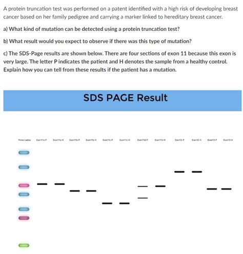 Solved A Protein Truncation Test Was Performed On A Patent