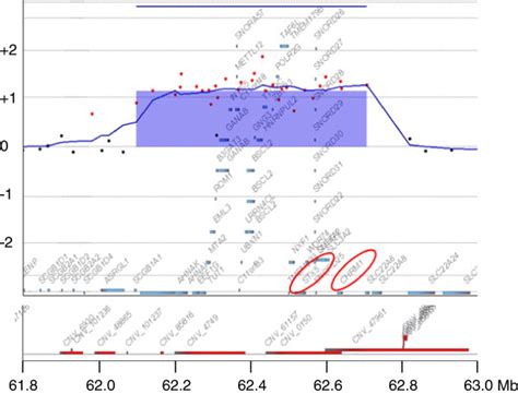The Result Of Chromosomal Microarray Testing Above Gene View By Download Scientific Diagram