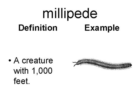 Rootsaffixes Affix Root Pedpodfoot Prebeforein Advance Biped Definition
