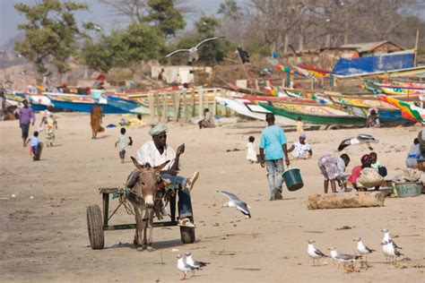 10 Facts About Living Conditions In Gambia The Borgen Project