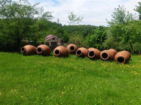 ჩემი ბლოგი სოფელი ტყემლოვანა