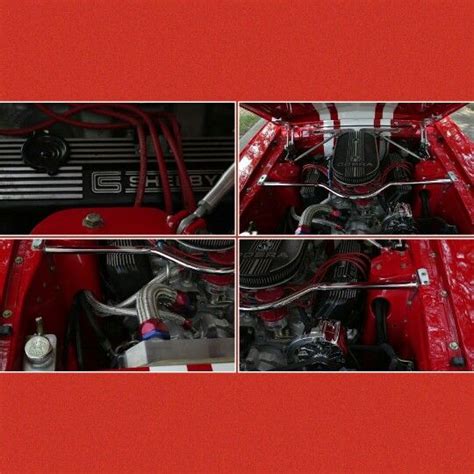 Mustang Shelby Engine Compartment
