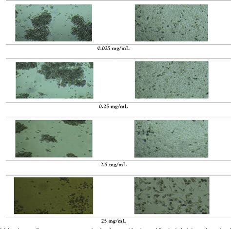 Table 1 From Investigation Of Antioxidant And Cytotoxic Activity Of Methanol Extracts Of