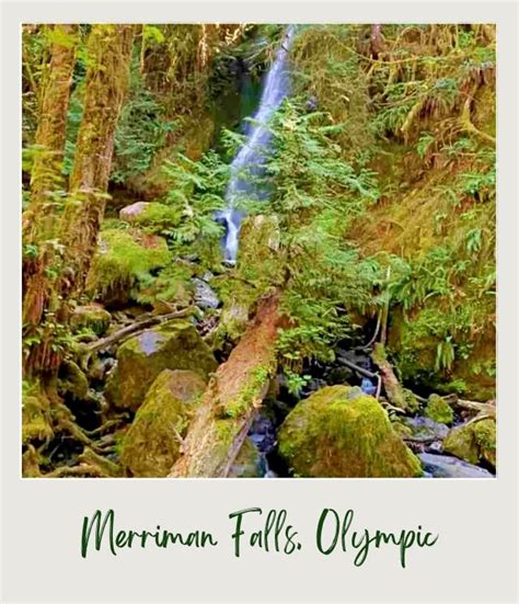 10 Best Waterfalls In Olympic National Park Forest