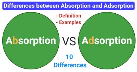 Adsorption And Absorption Adsorbtion Definition Examples Glossary