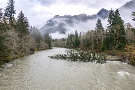 If A Tree Falls In A River Mid Fork Rocks