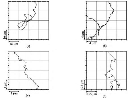 Motion Trajectories Under Different Scale Observation Windows For Janus Download Scientific