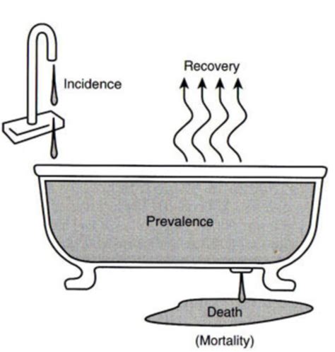 Homework 1 Problem Set Flashcards Quizlet