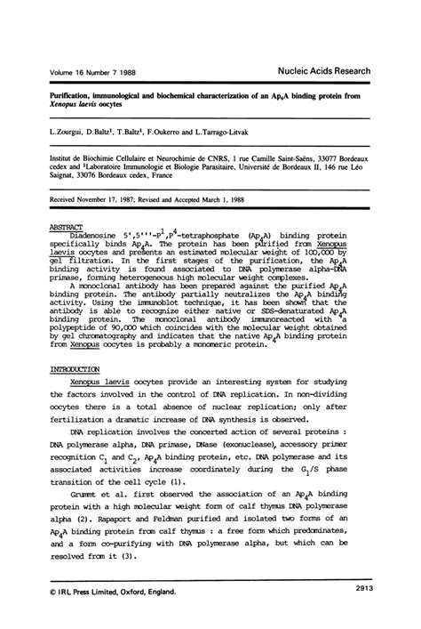 Pdf Purification Immunological And Biochemical Characterization Of Ap4a Binding Protein From