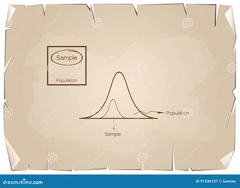 Normal Distribution Curve With Research Process Sampling Cartoon Vector