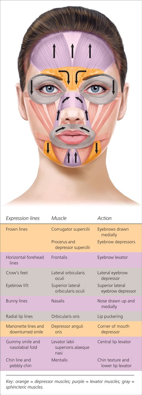 Printable Botox Injection Face Map