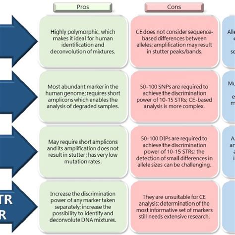 Pdf Applications Of Massively Parallel Sequencing In Forensic Genetics