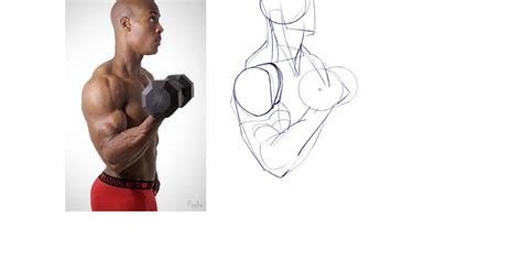 Bicep Drawing