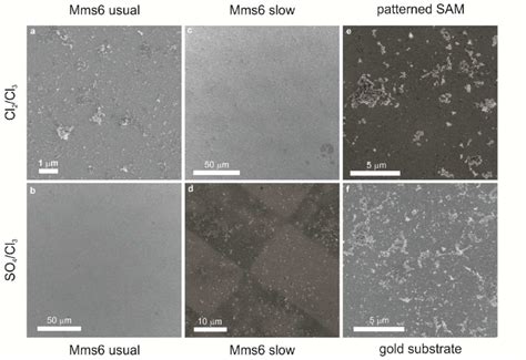 RTCP And Patterned Surfaces A D Mms Immobilized On Surface Before