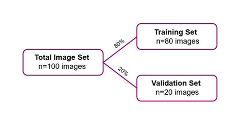 Confirming Ai Decisions Utilising Indica Labs Halo V3 5 Validation To Strengthen Oraclebios