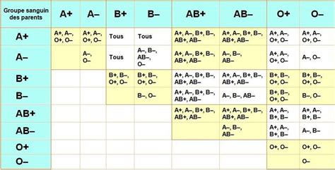 Don Dovocytes Limportance Du Groupe Sanguin De La Donneuse • Fivfr