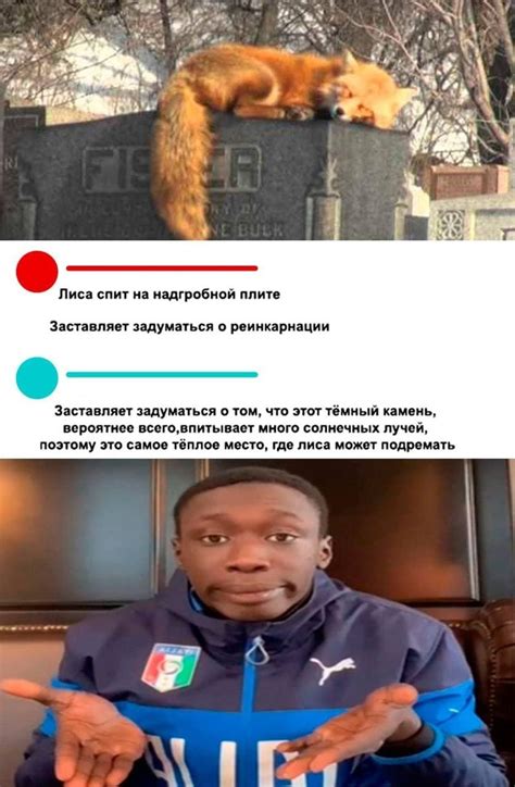 Лиса Fox Caption Internet картинка с текстом интернет Fandoms фэндомы