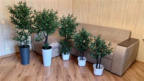 Оливка декоративний штучний вазон дерево рослина 2 800 грн Кімнатні рослини Хмельницький на Olx