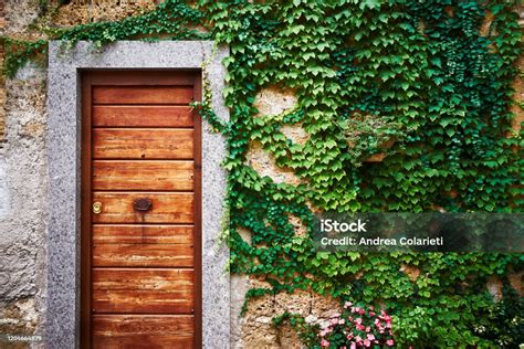 이탈리아의 녹색 담쟁이 덩굴과 등반 식물로 덮인 벽이있는 고대 석조 주택의 오래된 나무 문 0명에 대한 스톡 사진 및 기타 이미지 0명 갈색 거친 Istock