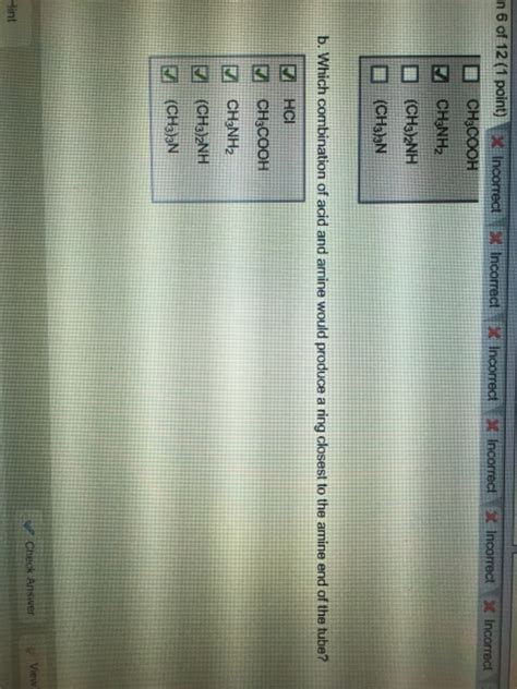 Solved View Php Id 41 3585 E A Search X Incorrect IX Chegg
