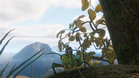 Smalland How To Get A Mount And Tame Insects Gamer Digest