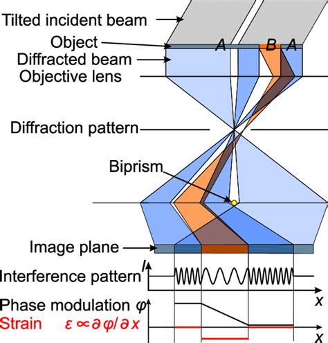 Color Online Schematic Of The Dark Field Electron Holography