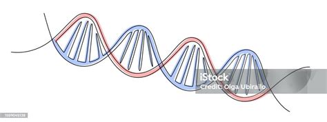 나선 Dna의 연속적인 선 그리기 하나 단순한 선형 스타일의 의학 및 과학 생명 공학의 개념 편집 가능한 뇌졸중의 인간 게놈
