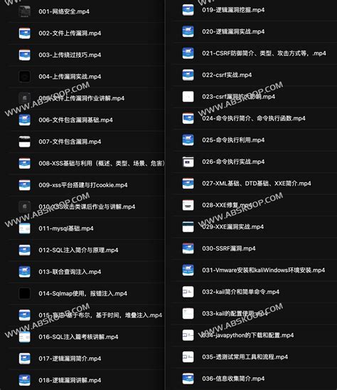 零基础系统学习网络安全教程100讲 昇腾教育 a姐分享