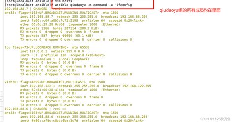ansible inventory 主机清单 csdn博客