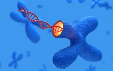 Effects Of Microgravity On Life Science