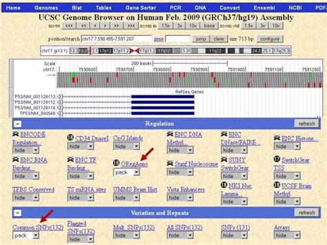 Bits Training Ucsc Genome Browser Part 2 Ppt