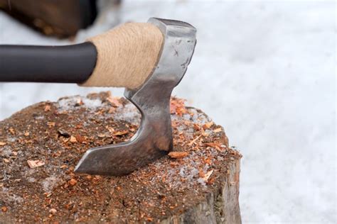 How Do You Kill Tree Stumps A Plus Tree