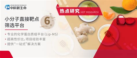 蛋白质组学 代谢组学 修饰组学 脂质组学 中科新生命 蛋白质组学 代谢组学 修饰组学 脂质组学