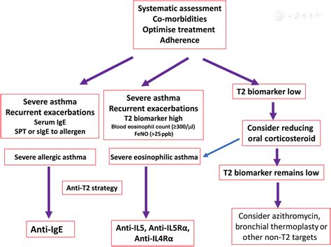 Severe Asthma Phenotypes At Jacob Honda Blog