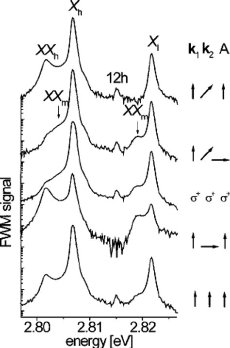 Fwm Spectra For Different Polarization Configurations Recorded At A Download Scientific Diagram