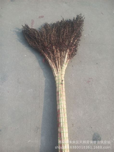 草高粱 牧草高粱 高粱花 大山谷图库