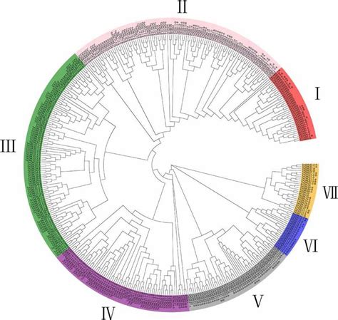 Genome Wide Identification And Expression Analysis Of Calmodulin And Calmodulin Like Genes In