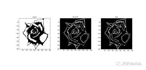 【图像分割】基于元胞自动机实现图像分割附matlab代码 csdn博客