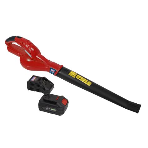 Leaf Blower Cordless V With Ah Battery Charger Building