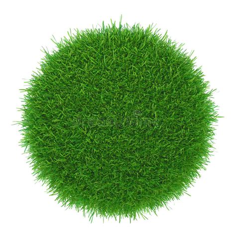 Round Area Of Green Grass Stock Illustration Illustration Of Outdoors 23944338
