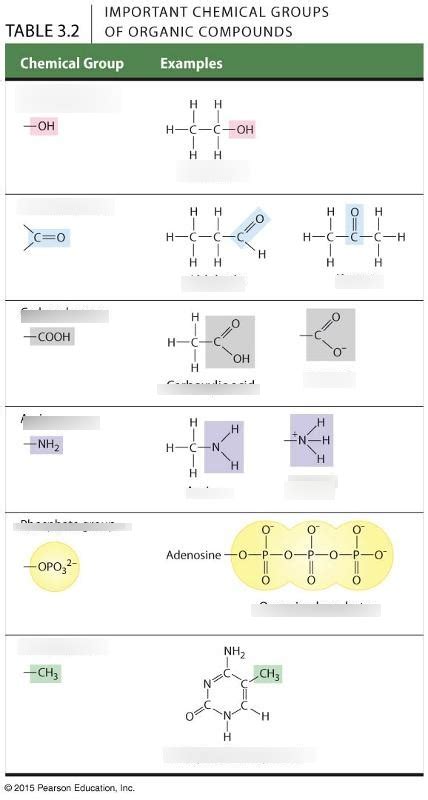 Functional Groups Diagram Quizlet Functional Groups Diagram Quizlet