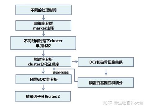 文献解读｜单细胞分辨率下破骨细胞形成过程 知乎