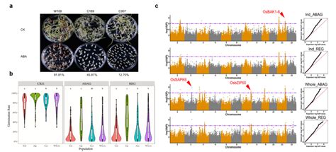 Sbio 浙大马忠华团队综述染色质重塑复合体swisnf在植物 病原体互作中的作用 Csdn博客 Sbio 浙大马忠华团队综述染色质重塑复合体swisnf在植物 病原体互作中的作用 Csdn博客
