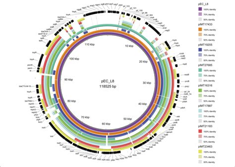 Circular Visualization Of The Seven Wild Type Esbl Plasmid Sequences Download Scientific