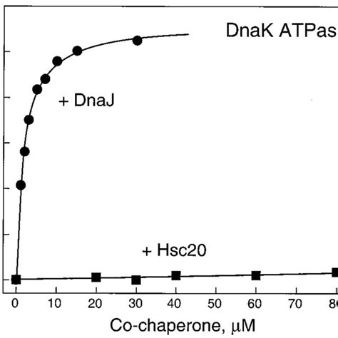 Model Of The Chaperone Cycle Of Dnak In Black Is Shown The Basic Cycle Download Scientific