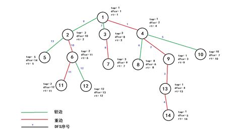 数据结构 树链剖分详解 csdn博客