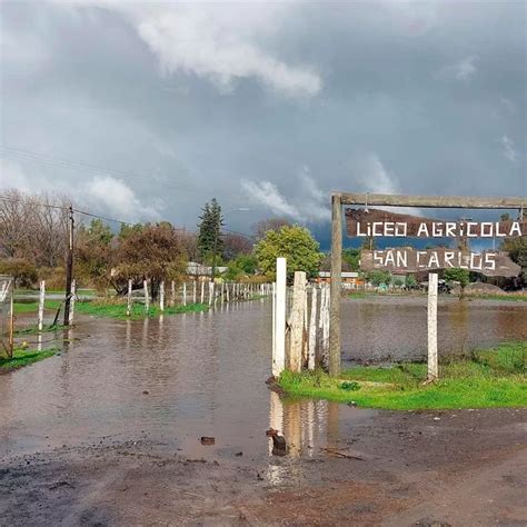 Experto Alertan Por Posible Foco De Leptospirosis Enfermedad Que Se