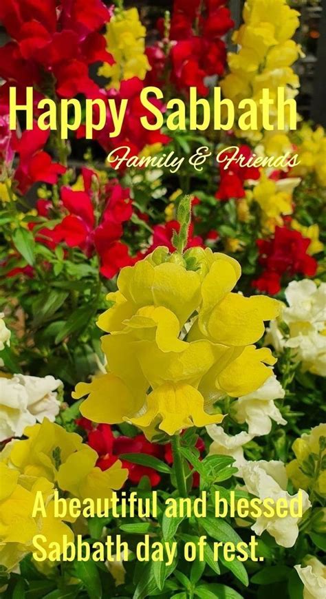 Happy Sabbath Images Beautiful Quotes And Pictures