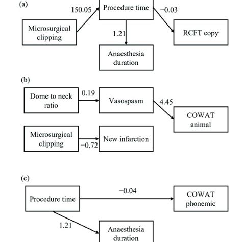Schematic Diagram Of The Path Analyses For Cognitive Function A